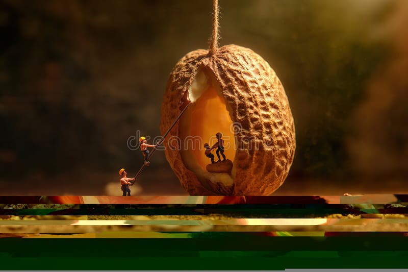 Miniature Workers Exploring Giant Peanut Shell, Teamwork and ...