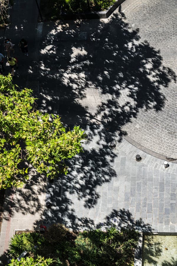 Minicelipses in the Projection View of the Shadows of Leafs and Trees ...