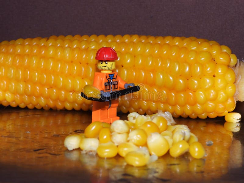 Lego Harvest Stock Photos - Free & Royalty-Free Stock Photos from ...