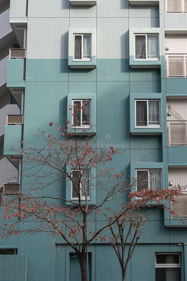 Minimal Apartment Mint Green Building Exterior Stock Photo - Image of ...