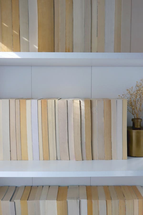 Minimal Bookshelf stock image. Image of design, minimal - 266729027