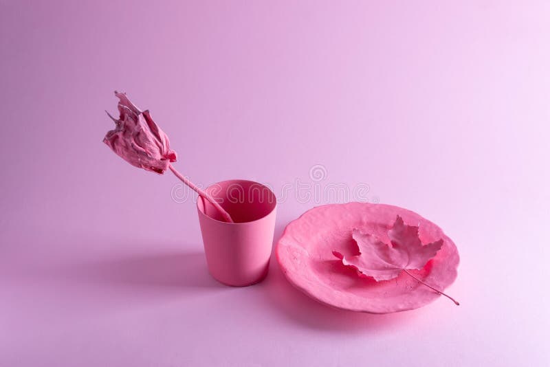 Minimal Composition Pink Still Life Autumn Minimalism Stock Image ...