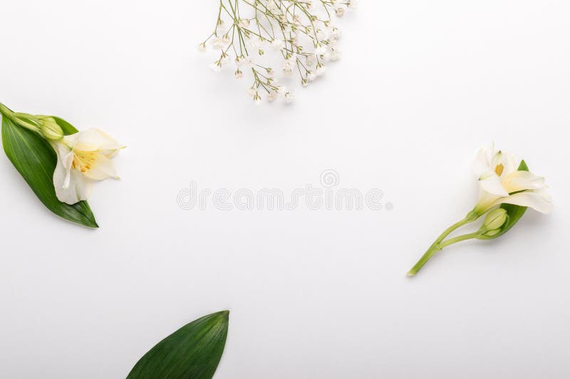 Minimal Concept Made with Flowers on White Background Stock Photo ...