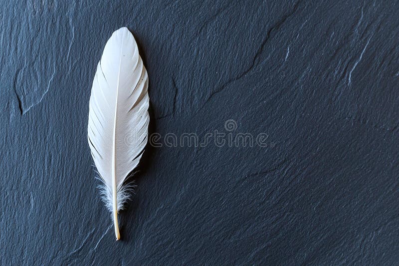 Minimal Contrast of a White Feather on Black, Evoking Calm and ...