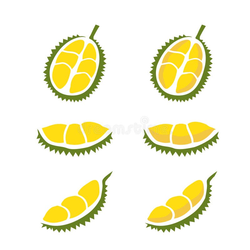Minimal Durian Fruit Icon Vector Design. Stock Vector - Illustration of ...
