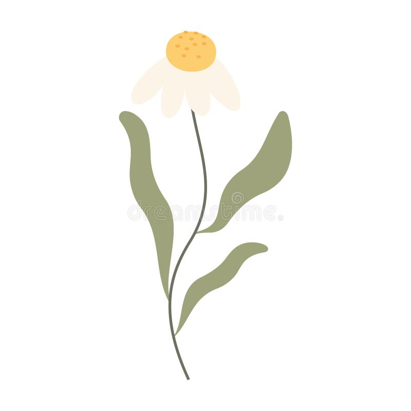 Minimal Flat Illustrations of Leaves and Simple Flowers on White ...