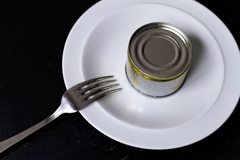 Minimal food in a dish stock image. Image of restriction - 111429581