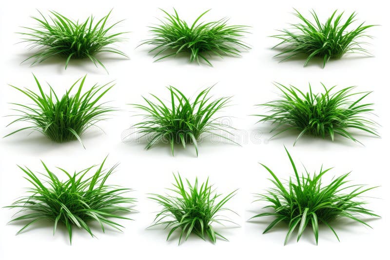 The Minimal and Isolated Set of Grass Line Cads on a White Background ...