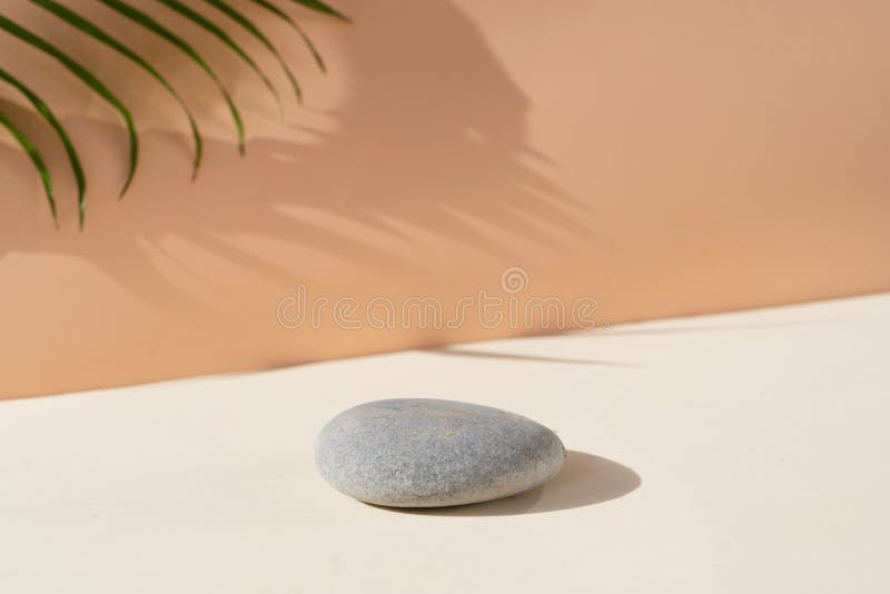Minimal product display stock image. Image of abstract - 195596659
