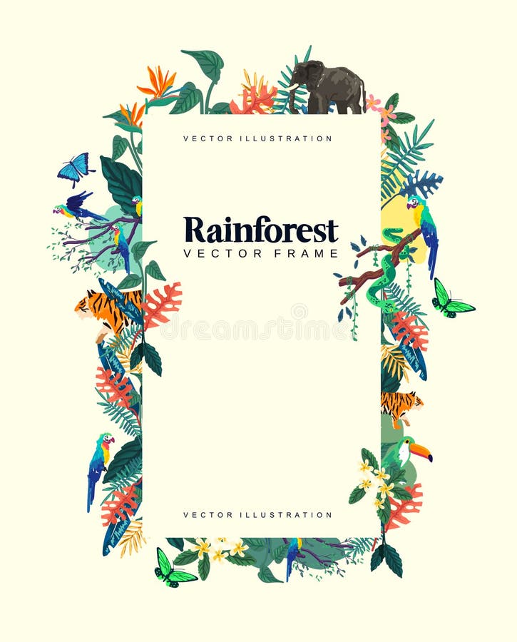 Minimal Rainforest Themed Frame Decorations Stock Vector - Illustration ...