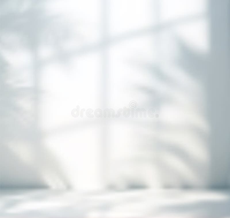 Minimal Soft Window Light Shadow Overlay for Branding, Packaging Design ...