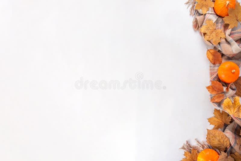 Minimal Sparse Autumn Background with Fall Leaves Stock Image - Image ...