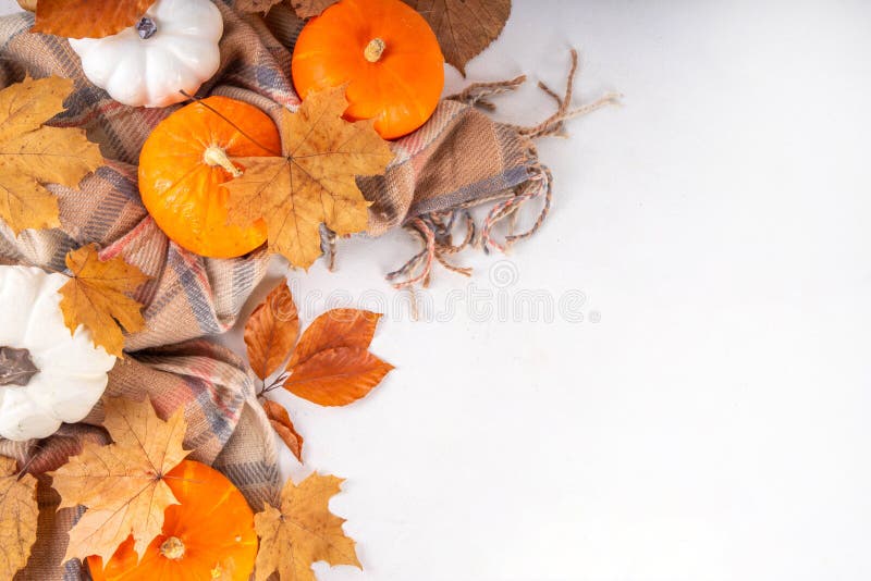 Minimal Sparse Autumn Background with Fall Leaves Stock Photo - Image ...
