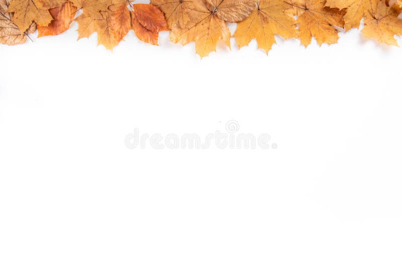 Minimal Sparse Autumn Background with Fall Leaves Stock Photo - Image ...