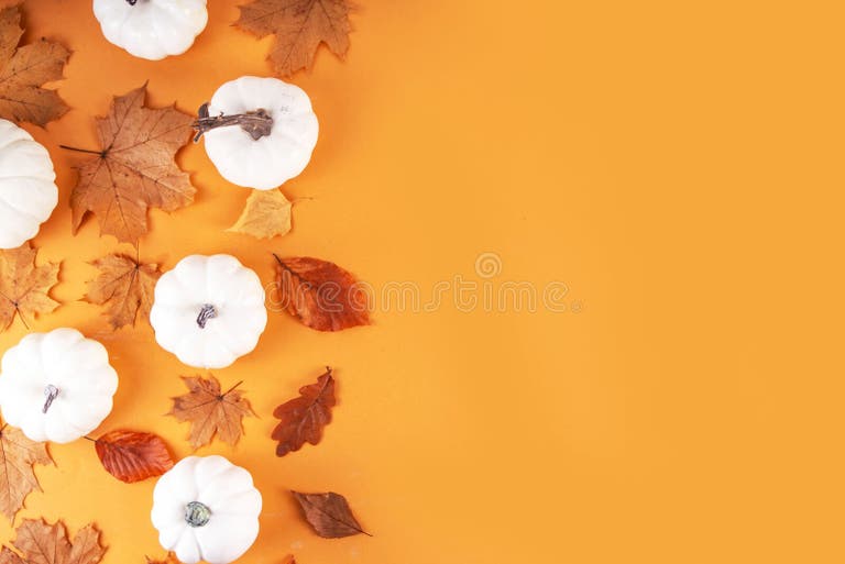 Minimal Sparse Autumn Background with Fall Leaves Stock Photo - Image ...