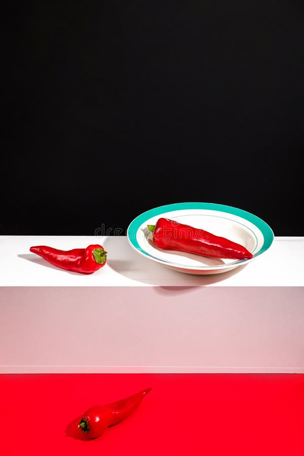 Minimal Still Life. Trendy Minimalism Pop Art Style And Colors Cactus ...