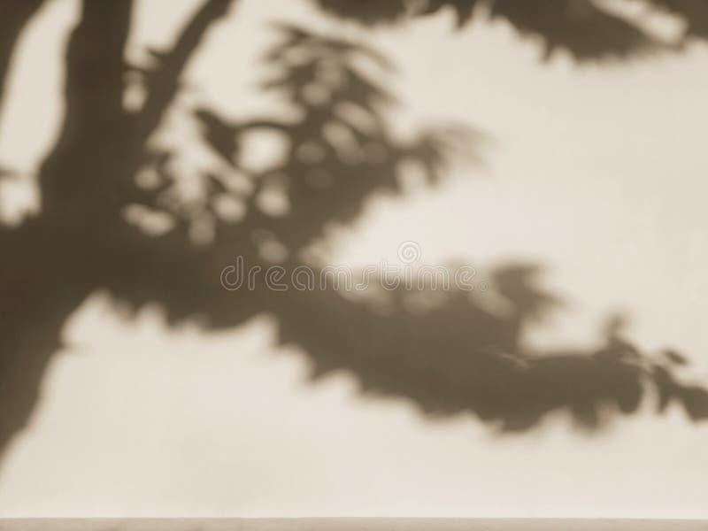 Minimal Tree Shadow on Beige Concrete Wall Texture Background. Stock ...