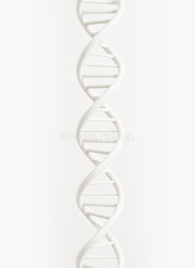Minimal White 3D DNA Helix on White Background Stock Illustration ...
