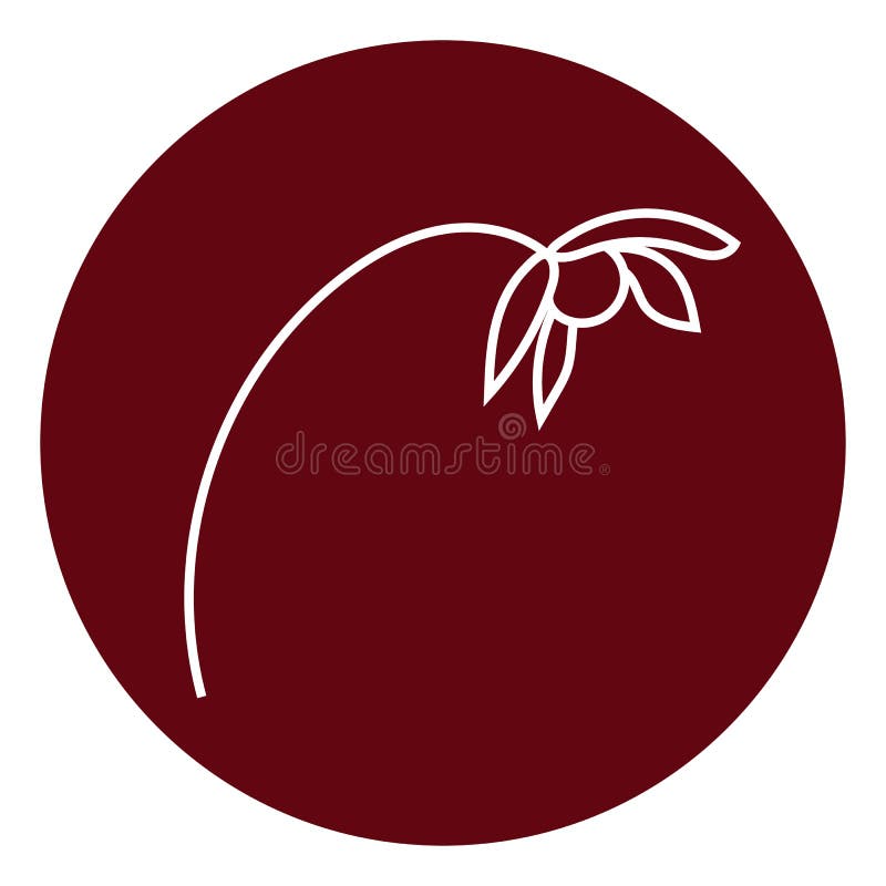 Minimal White Flower, Icon Icon Stock Vector - Illustration of ...
