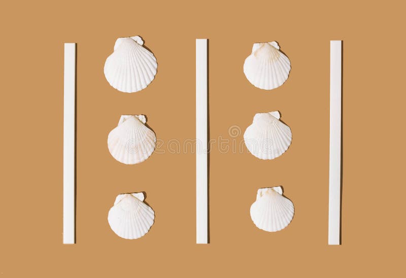 Minimal White Seashell Pattern on Brown Background. Creative Lay Out ...