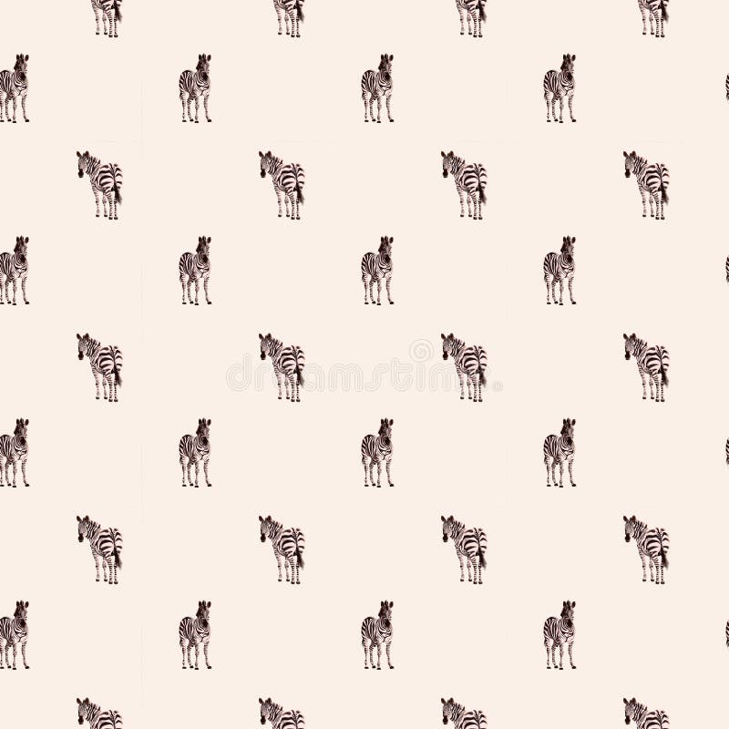 Minimal Zebra Seamless Pattern Background Stock Illustration ...