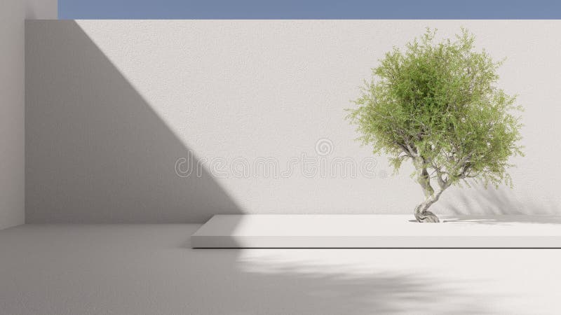 Minimalism Architecture Tree in the Courtyard Surrounded by Walls, Blue ...