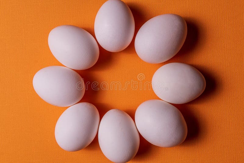 Organic White Eggs in a Raw on Pastel Backgound. Stock Image - Image of ...