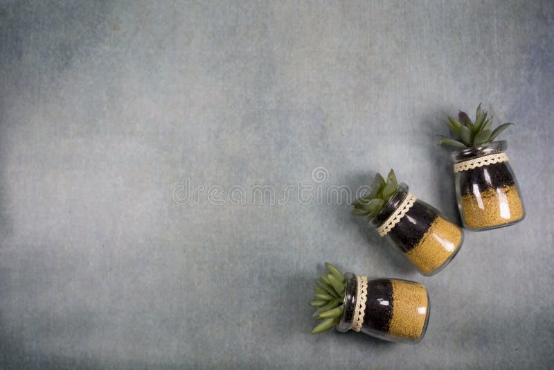 Three Cacti on Grey Background, Composition. Stock Photo - Image of ...