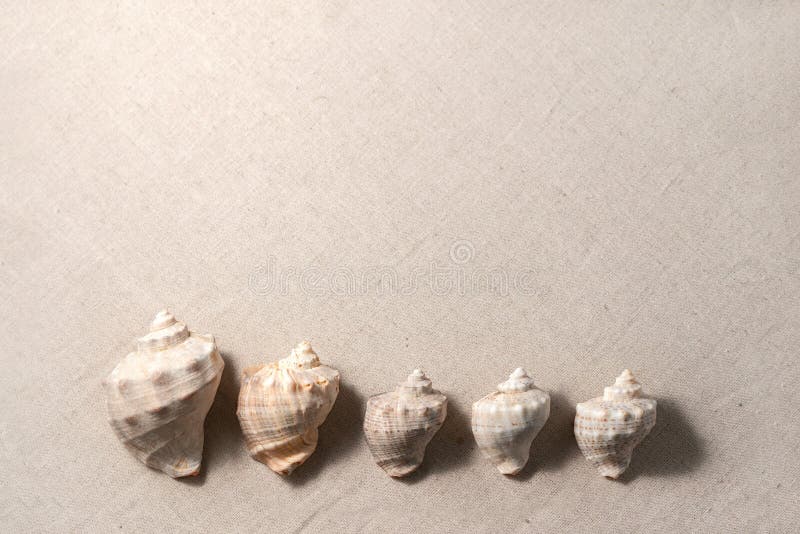 Minimal Square Aesthetic Neutral Summer Vacation Concept with Sea ...