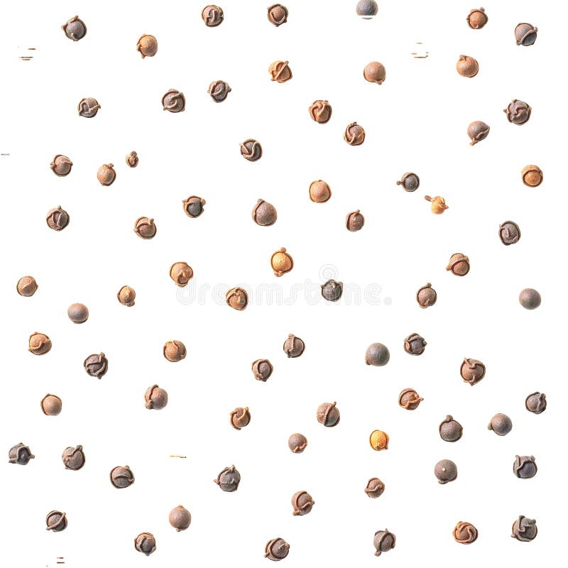 Scattered Seeds on White Surface Organic Botanical Element Isolated on ...