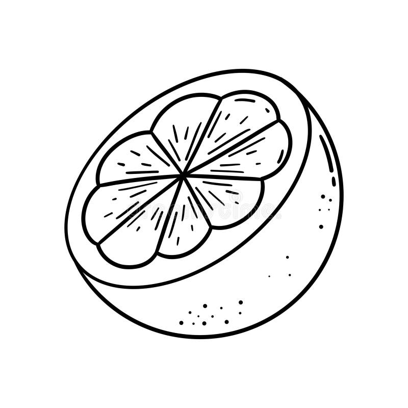 Orange Line Art stock illustration. Illustration of stylized - 348045026