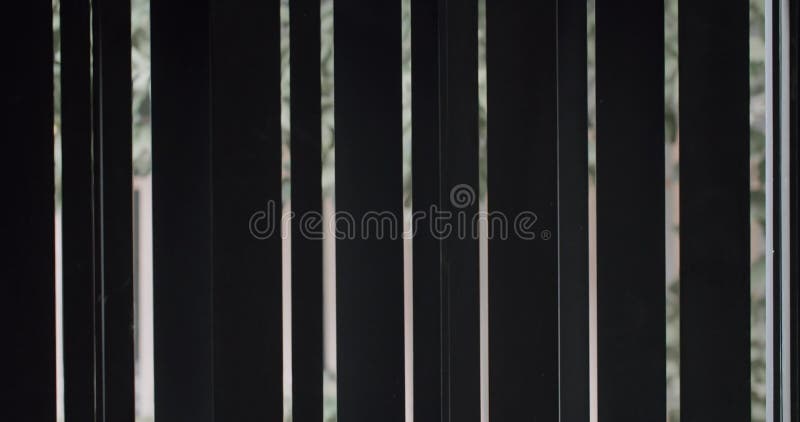 Minimalist Black Vertical Bars with Blurred Forest Background Stock ...