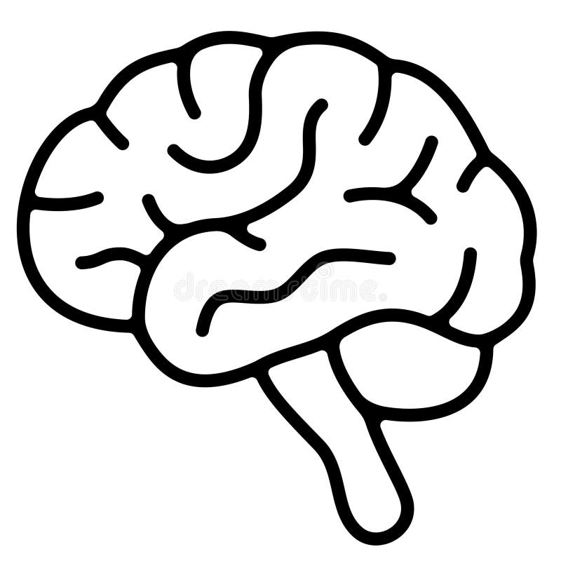 Minimalist Black and White Brain Illustration. Side View Stock ...