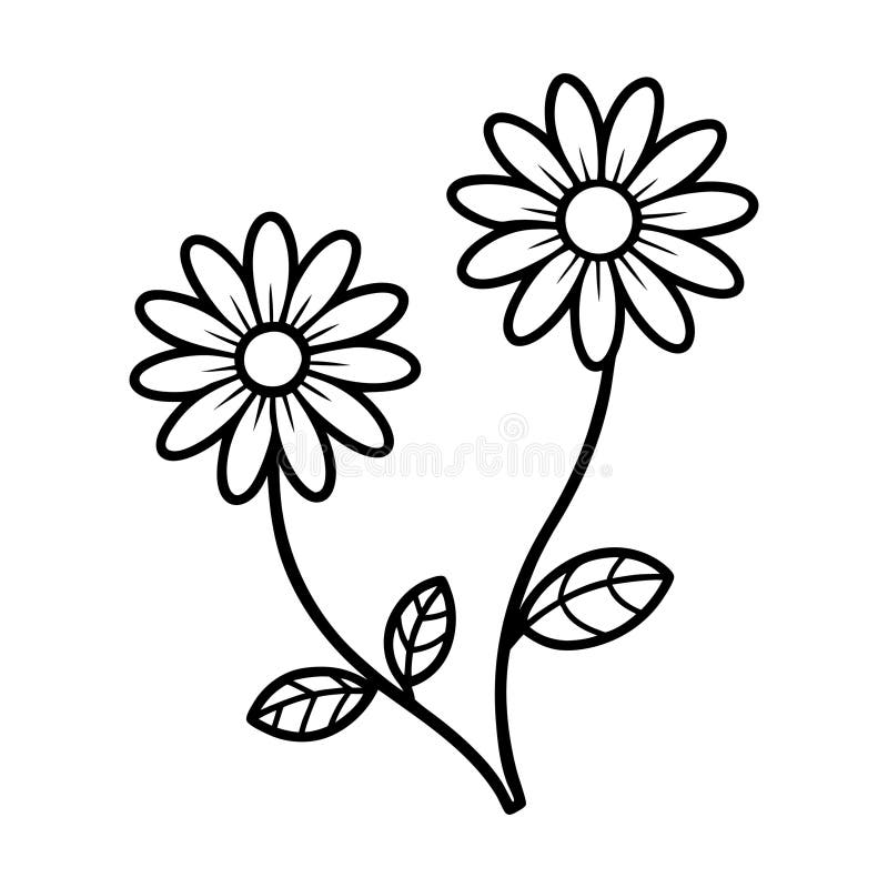 Simple Line Drawing of Two Daisies with Leaves Stock Vector ...