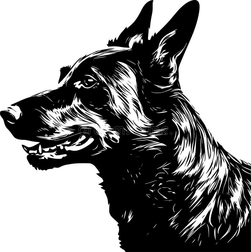 Australian Kelpie - Minimalist and Flat Logo - Vector Illustration ...
