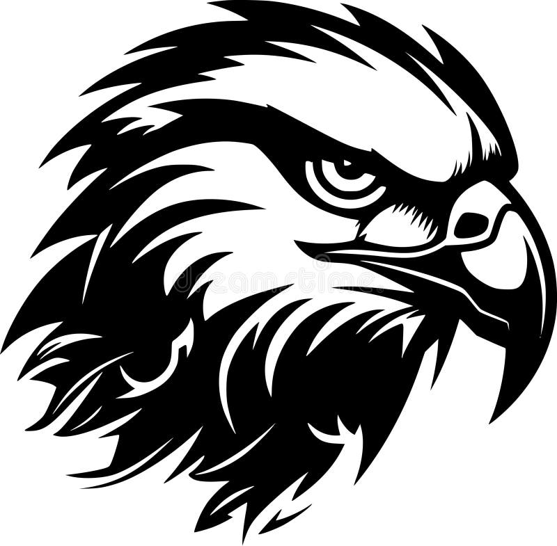 Falcon - Black and White Vector Illustration Stock Vector ...