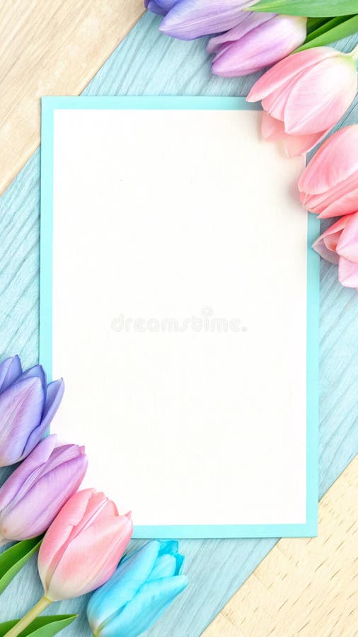 Minimalist Border Design with Paper Texture and Pastel Dream Palette ...