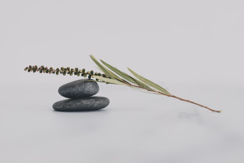 Minimalist Calming Visuals, Stacked Pebbles with Small Branch of Leaves ...