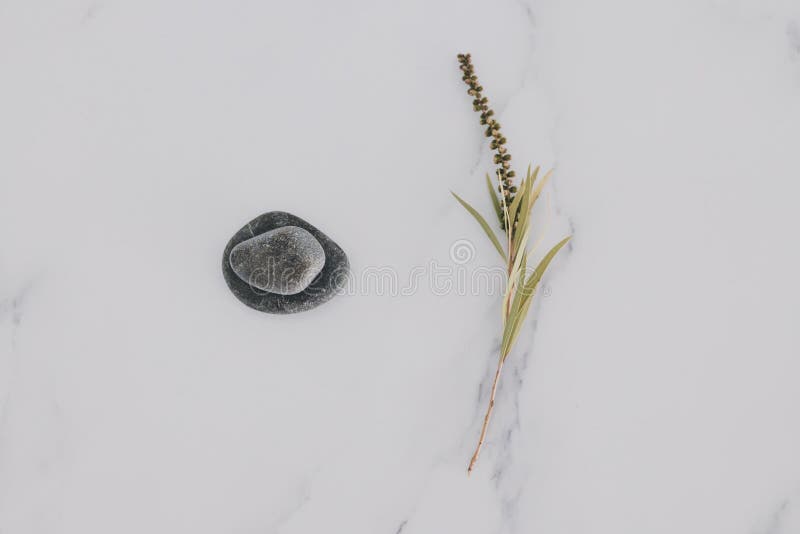 Minimalist Calming Visuals, Stacked Pebbles with Small Branch of Leaves ...