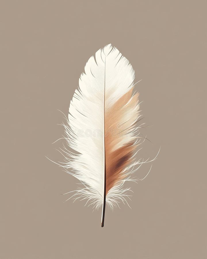 Minimalist Chicken Feather Line Art Stock Illustration - Illustration ...