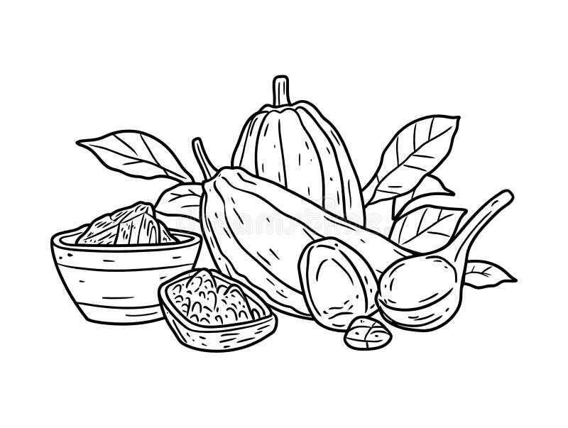 Minimalist Cocoa Fruit Line Drawing, Ai Generated Stock Image ...
