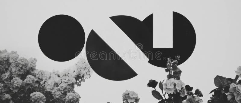 Minimalist Collage Blends Geometric Shapes with Floral Elements in ...