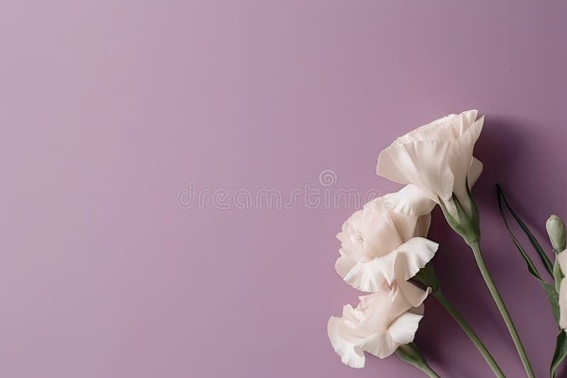 Minimalist Composition with Eustoma Bloom and Text Overlay Stock ...