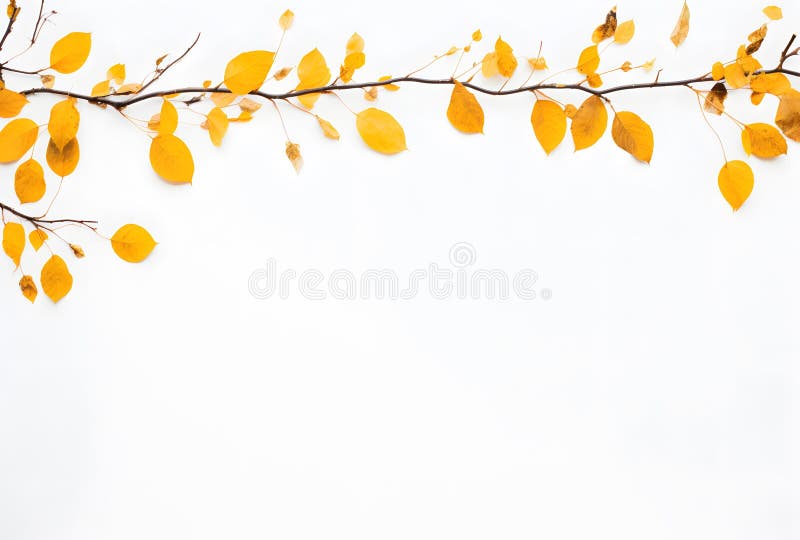 Minimalist Autumn Branch Border with Yellow Leaves Stock Illustration ...