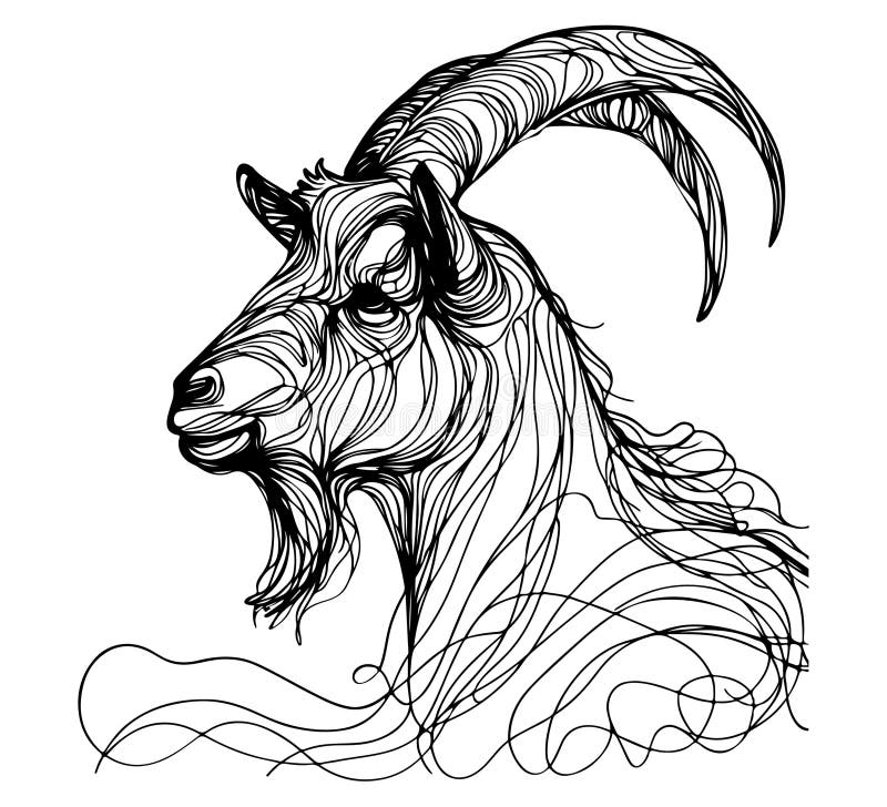 Continous Line Drawing of a Goat Illustration Vector Stock Illustration ...