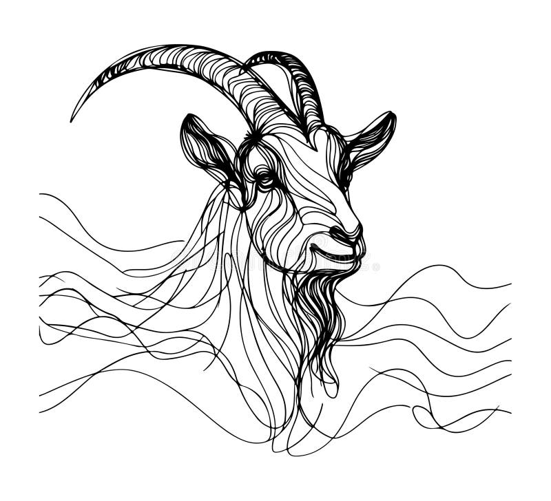 Continous Line Drawing of a Goat Illustration Vector Stock Vector ...