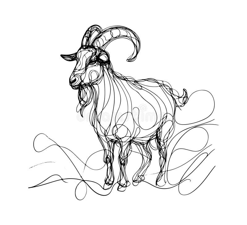 Continous Line Drawing of a Goat Illustration Vector Stock Vector ...
