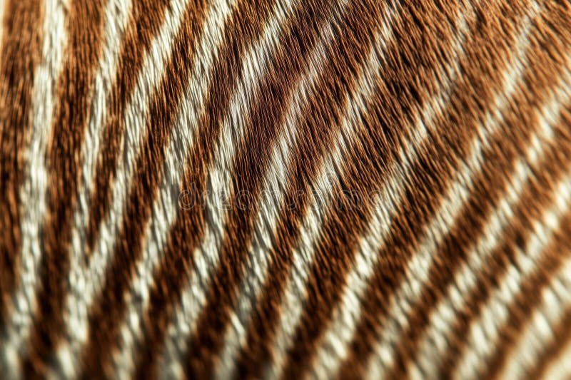 Minimalist Deer Skin Texture for Design and Print Projects Stock ...