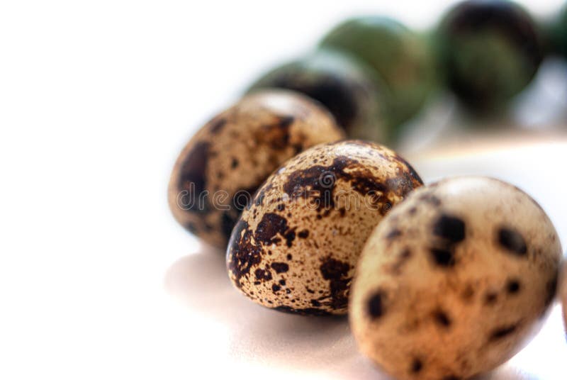 Minimalist Easter Concept. Natural Dyed Easter Quail Eggs Blue and ...