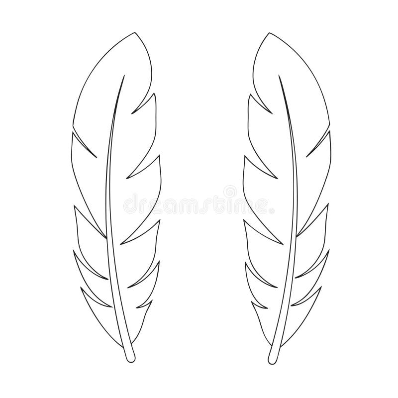 Minimalist Feather Outline Vector Illustration. Stock Illustration ...